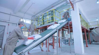 China Powdered Maize Starch / Corn Starch 9005-25-8 with ISO Certification from 's Top Chemical for sale