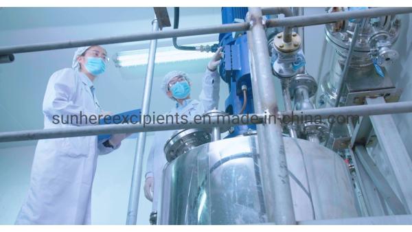 Quality 25kg Sodium Starch Glycolate Potato Starch USP/Ep/Bp CAS No. 9063-38-1 for sale