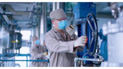 China White Ethyl Cellulose Formula for Improved Product Performance and Durability for sale