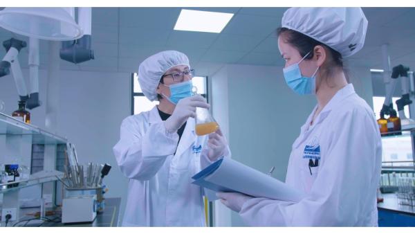 Quality Corn Starch Flour Customized Request and Powder State at Manufacture for sale