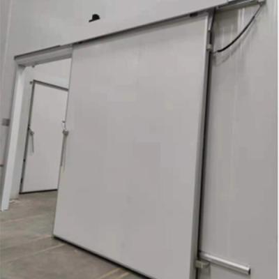 China Compact Cold Store Sliding Doors , Manual Sliding Cold Room Door Manufacturers for sale