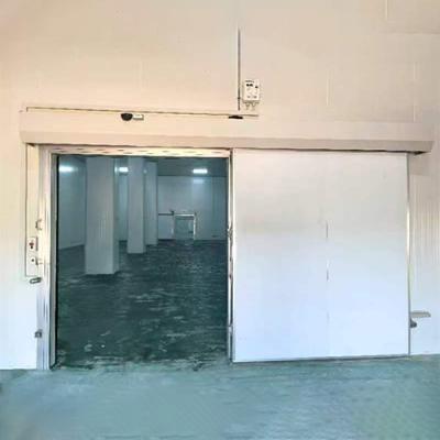 China 0.5mm 0.6mm 0.8mm Insulated Cold Room Doors For Cold Chain Logistics for sale