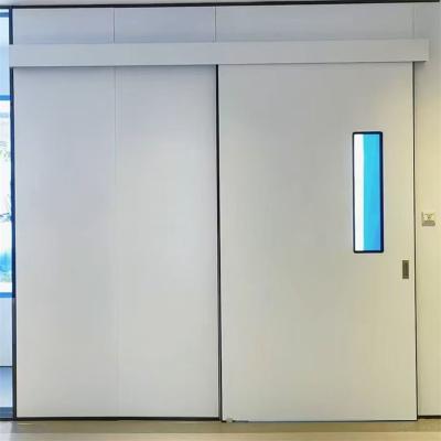 China Fast Installation Modern Steel Cleanroom Doors For ISO Certified Cleanrooms for sale