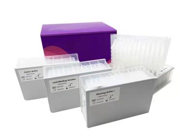 China 96 Test/Kits Pre-packed Automated Magnetic Beads Method DNA/RNA Nucleic Acid Extraction or Purification Reagents for sale