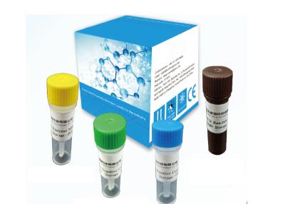China New Coronavirus Fluorescent RT-PCR Reagents COVID-19 Nucleic Acid PCR Detection Kits for sale