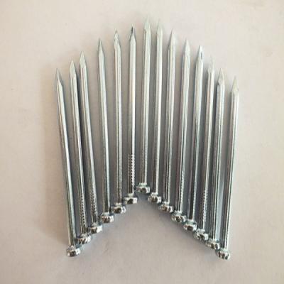 China Hardened Steel Concrete Galvanized Stainless Steel Nails for sale