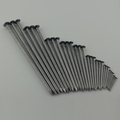 China stainless steel concrete nail for sale