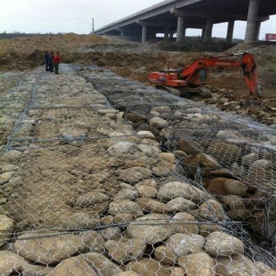 China hot Galvanized gabion mesh for sale