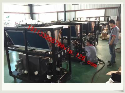 Cina China 20HP Environmental Friendly Chillers/Industrial Air Cooled Water Chiller with Scroll Compressor in vendita