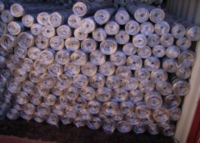Cina L'iso immerso caldo 1/2x1/2 14mm 1x1 ha galvanizzato il reticolato di saldatura in vendita