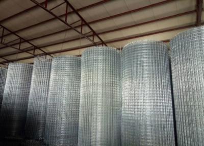 Cina gabbie 19kgs 12.7mm x 12.7mm rete metallica di filo zincato di 19 calibri in vendita
