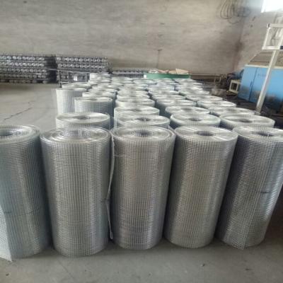China Cerca Plant BWG21 5/8
