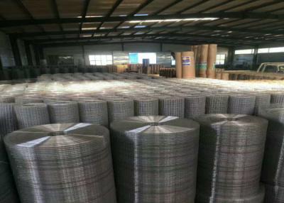 Cina rete metallica saldata galvanizzata immersa calda di 16mm x di 16mm in vendita