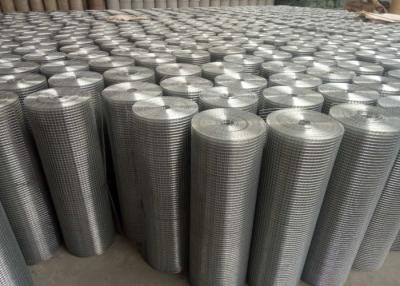 Cina rete metallica saldata galvanizzata immersa calda di 16mm x di 16mm in vendita