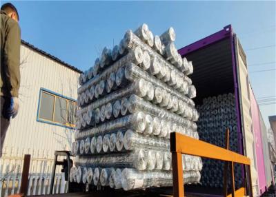 Cina Le fattorie degli animali 1x1 25x25mm hanno galvanizzato la rete metallica saldata in vendita