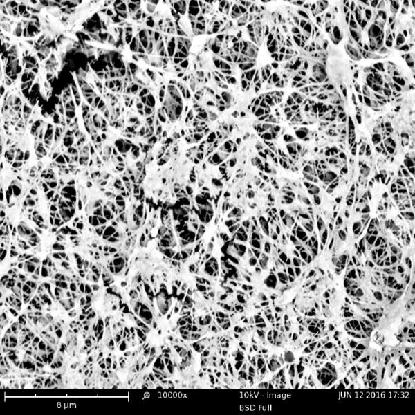 Membrane microporeuse EPTFE hydrophobe 0,22/0,45/1,2/3μm avec couche de support en PP ou en PET à usage médical