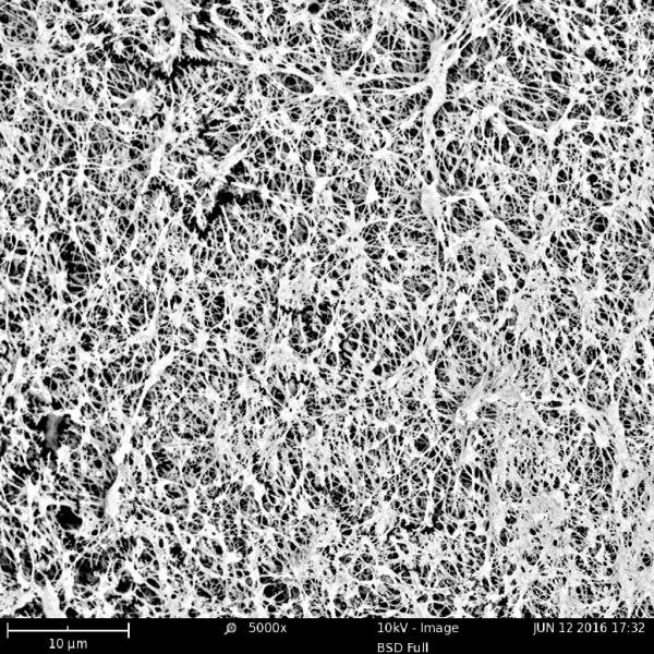 Membrane microporeuse EPTFE hydrophobe 0,22/0,45/1,2/3μm avec couche de support en PP ou en PET à usage médical