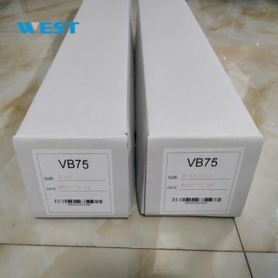 Cina 75% Vlt Film fotocromatico mono argento Trasmissione luminosa dinamica Tinta di finestra di transizione in vendita