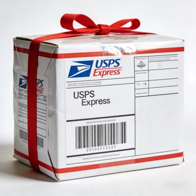 China US Express Small Packet DDP Door To Door Delivery Services Short Lead Time Small Shipment Volume for sale