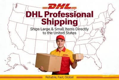 China DHL International Logistics Shipping , Reliable DHL To United States for sale
