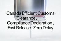 China Canada Efficient Customs Clearance   Compliance Declaration  Fast Release  Zero Delay for sale