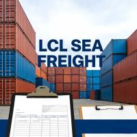 Quality LCL Sea Freight International Shipping Awaiting Devanning Sorting Customs for sale