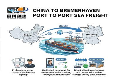 China Low Cost Traditional Sea Shipping Port to Port from China to Bremerhaven for sale