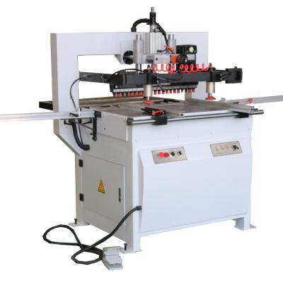 China Double Rows Multi Spindle Boring Machine Horizontal Boring Machine For Woodworking for sale