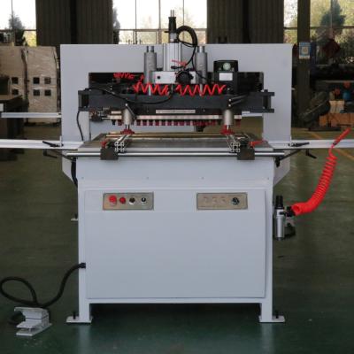 China Woodworking Double Rows Multi Spindle Drilling Machine For Furniture Cabinet for sale