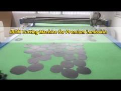 Electric Oscillating Tangential Knife Customized Oscillating Knife CNC For Cutting Machine