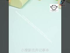 Journal A5 High Beauty Diary Book Small Fresh Fragmented Flower Girl Notebook Gift Box