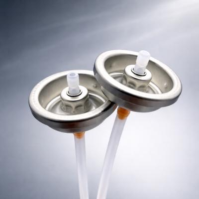 China 25.4mm One-Inch Aerosol Valve for Antibacterial Deodorant Spray Systems for sale
