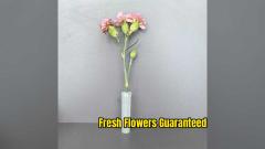 2026 New Design GORGECRAFT 30Pcs Floral Water Tubes with Picks 11.8 Inch Green Plastic Extendable Vi