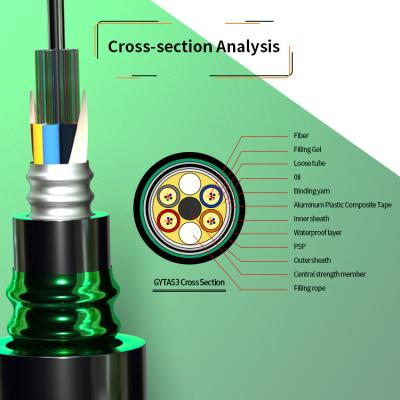 Cina HDPE Jacket Fibre Optic Cable Armoured RoHS Outdoor Rated Fiber Optic Cable in vendita