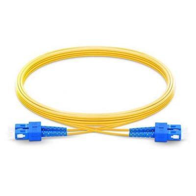 China Singlemode Armored Fiber Patch Cord SC UPC To SC UPC Duplex 2.0mm PVC OFNR 9/125 for sale