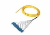 China SC/UPC SM 12Core Pigtail for sale