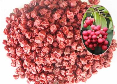 China Tipo medicina tradicional chinesa do fruto, suplemento a Schisandra embalado a vácuo à venda