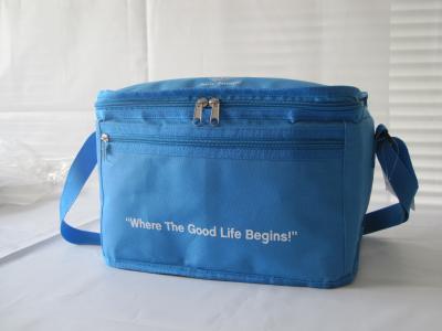 Cina 24 Can Cooler Bag For Promotion Polyester Bule Cooler Bag-HAC13145 in vendita
