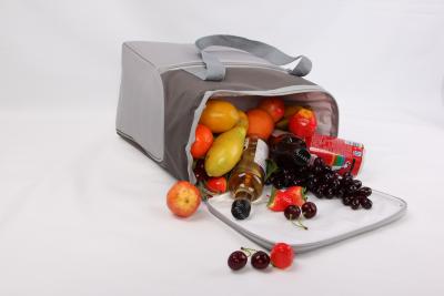 Cina 25.5*18.5*36cm size cooler bag for outdoor picnic- HAC13094 in vendita