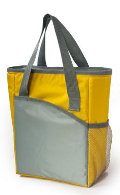 Cina Fashion Cooler Bag Made of 420D Polyester-HAC13039 in vendita