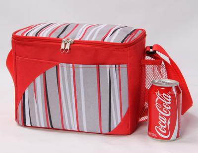 Cina Fahion cooler bags from Xiamen-HAC13122 in vendita