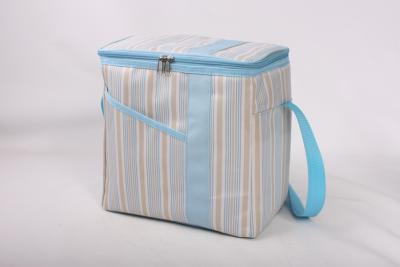 Cina best cooler bags from China-HAC13040 in vendita