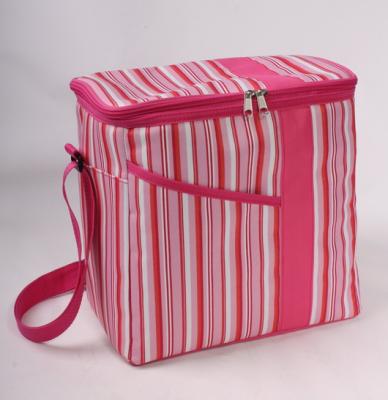 Cina disposable beach cooler bag-HAC13041 in vendita
