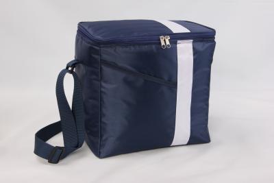 Cina Cooler bag ice bags-HAC13124 in vendita