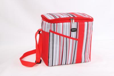 Cina food can cooler bags-HAC13126 in vendita