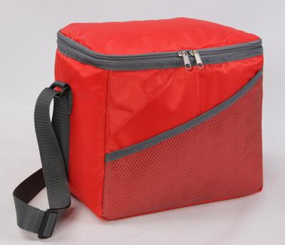 Cina beautiful cooler bags for BBQ parties-HAC13129 in vendita