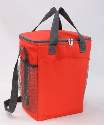 Cina 24 cans cooler bags huge cooler bag for picnic-HAC13131 in vendita