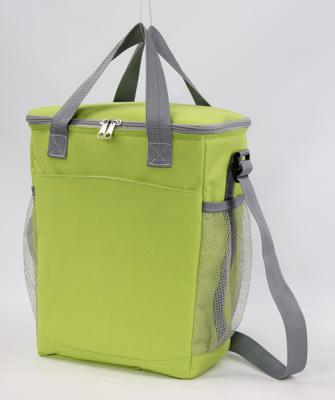 Cina disposable picnic cooler bags-HAC13133 in vendita