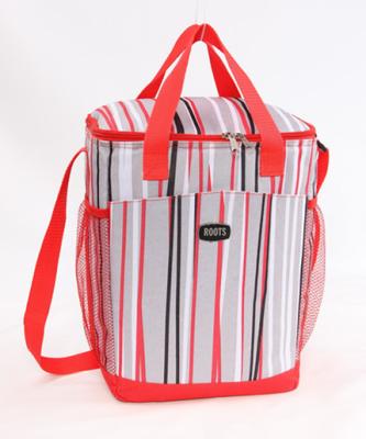 Cina 600D shopping cooler bag-HAC13134 in vendita