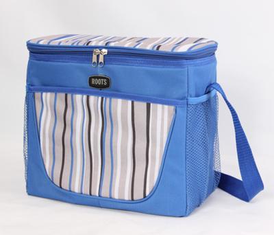Cina camping cooler bags-HAC13137 in vendita